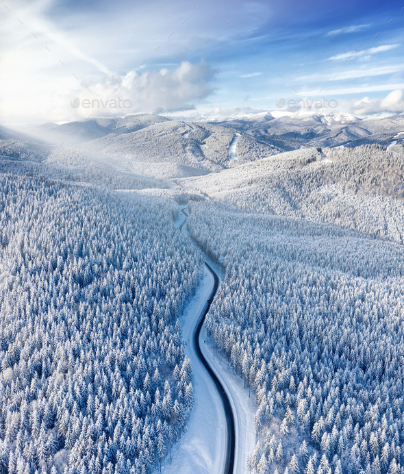 Road and winter forest from air. Winter aerial landscape. View from drone Stock Photo by biletskiy